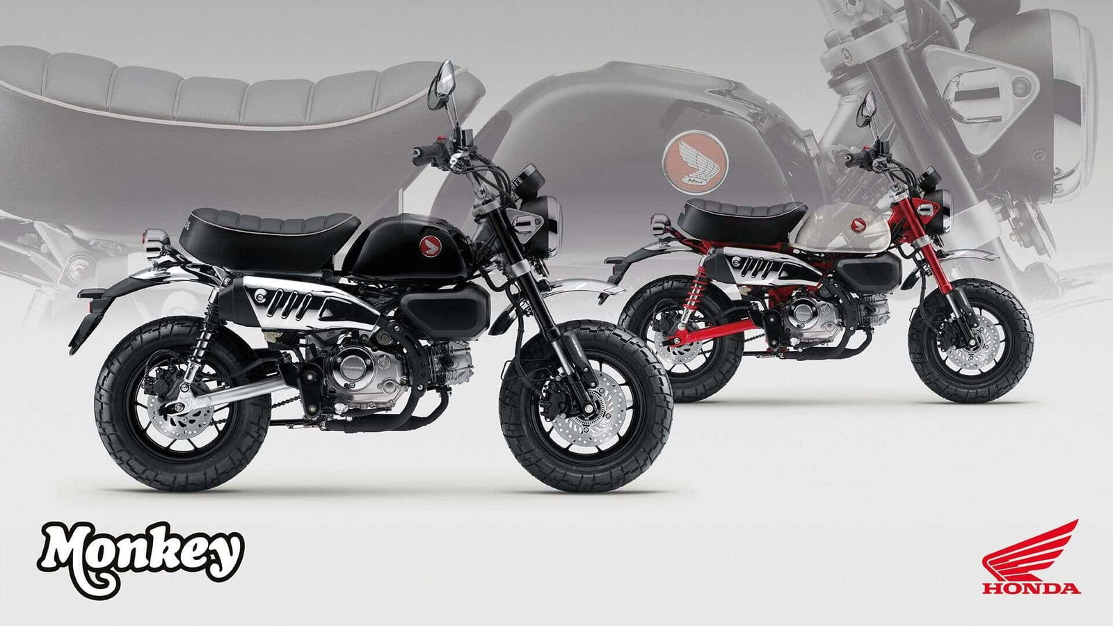Honda Gives Dax, Monkey and Super Cub Fresh Tweaks | Visordown