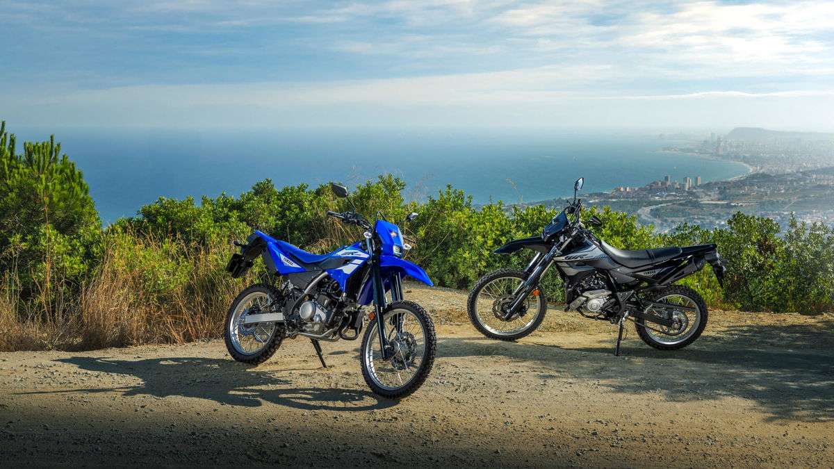 Yamaha unveils 2026 WR125R trails bike | Visordown