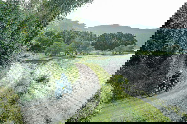 Husqvarna Norden 901 (2022) on and off-road review | Visordown